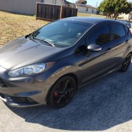 Front grill | Fiesta ST Forum
