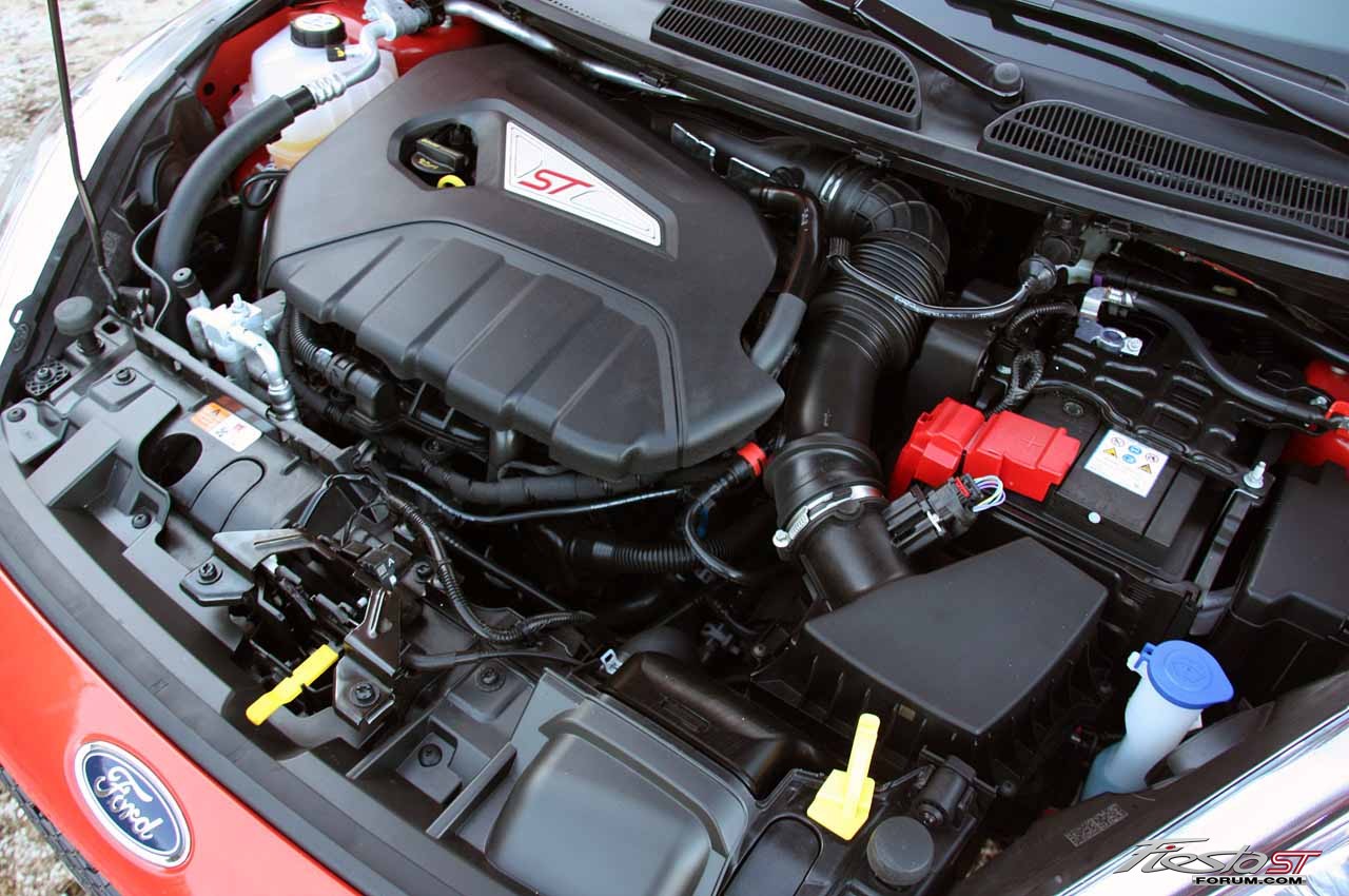 2014-Ford-Fiesta-ST-engine.jpg | Fiesta ST Forum